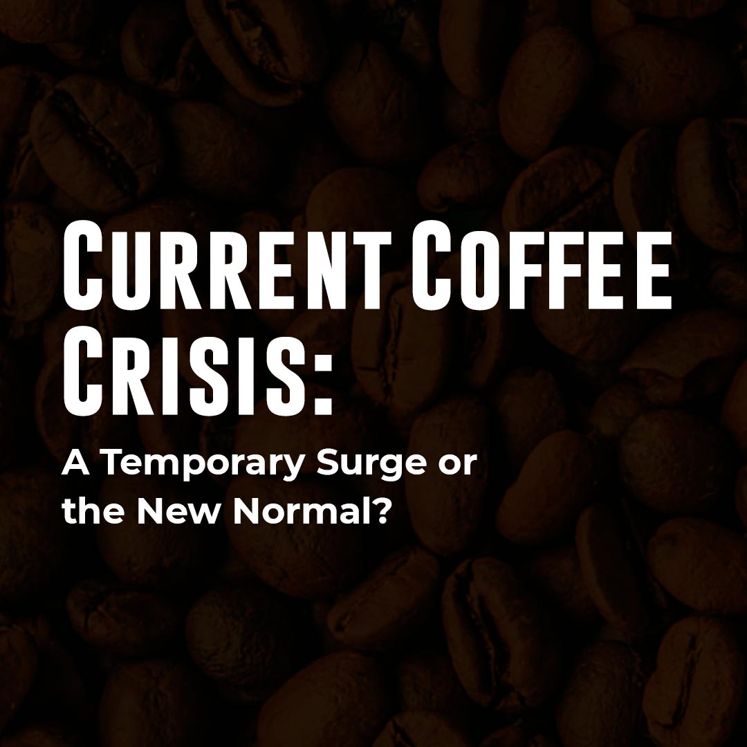 Current Coffee Crisis: A Temporary Surge or the New Normal? - Viva Coffee